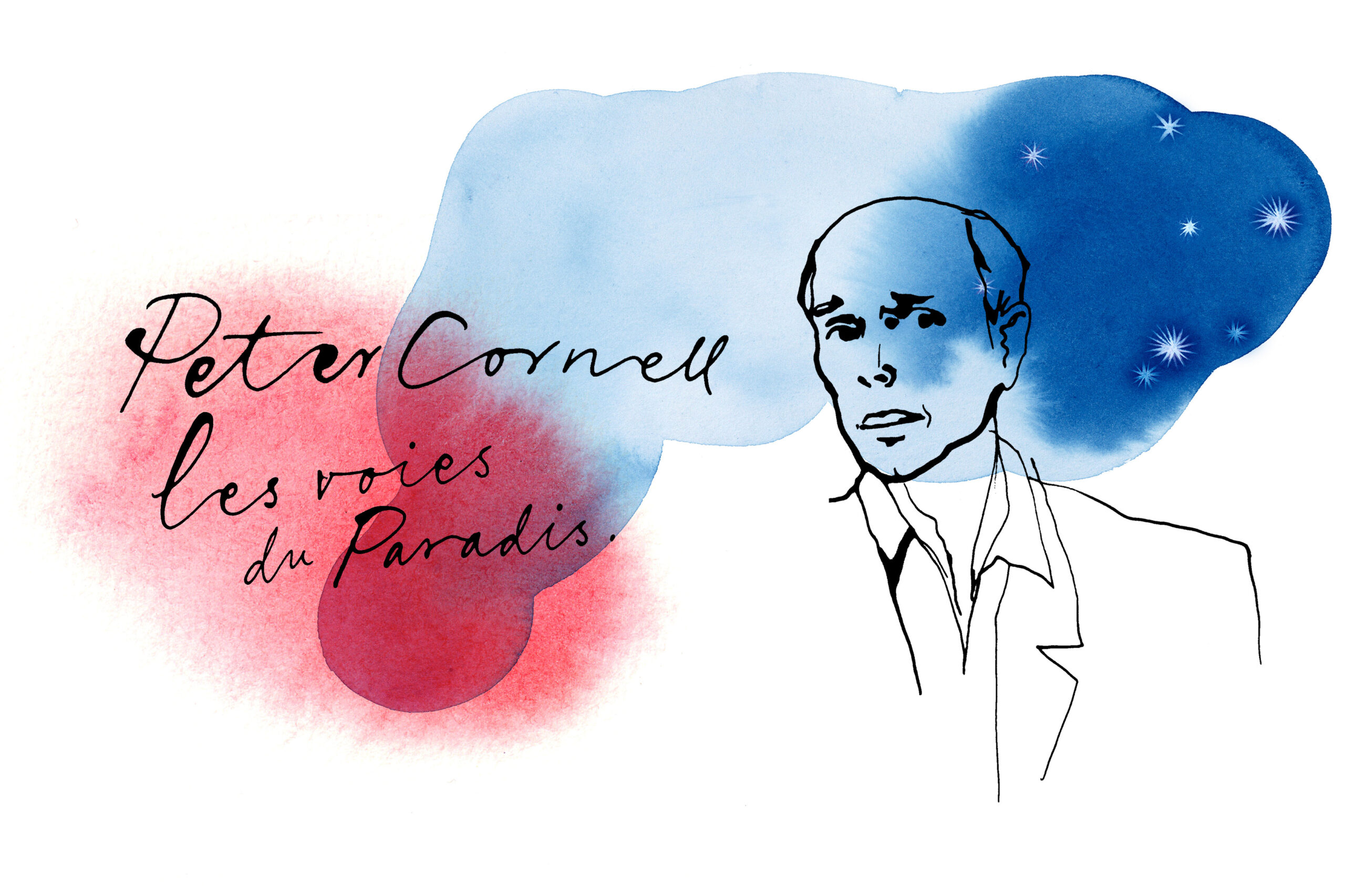 Meet the author: Peter Cornell - Institut suédois